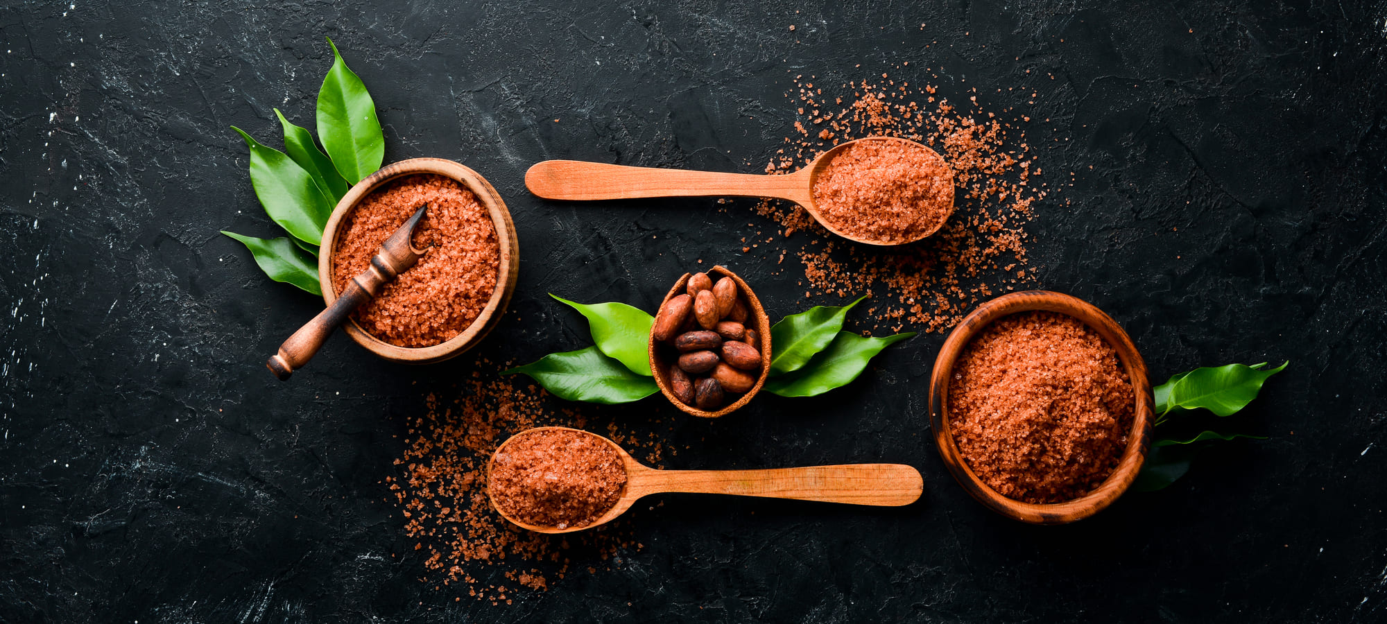 El Proceso Del Cacao Del Cultivo A La Fabricación Torras
